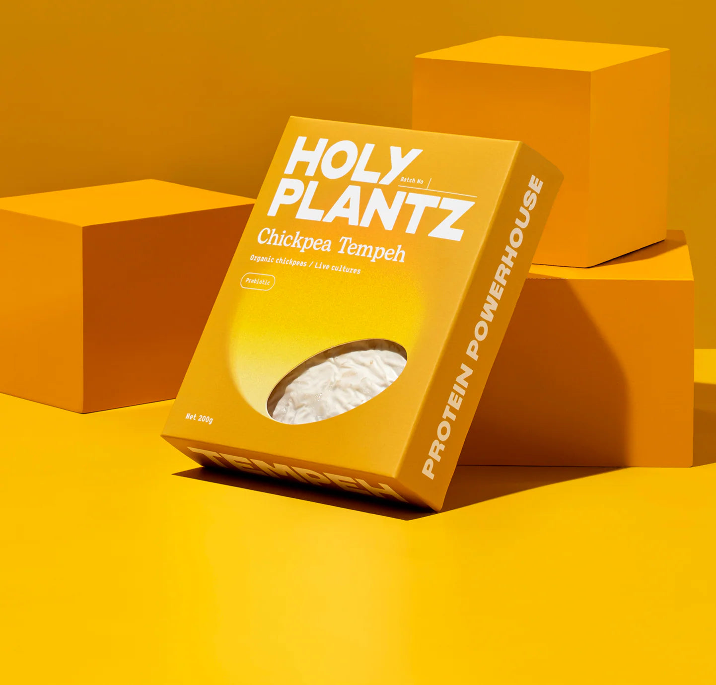 Chickpea Tempeh – Holy Plantz